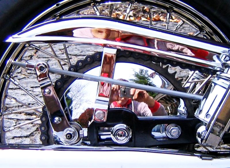 Bronson Chain Guard Pictures